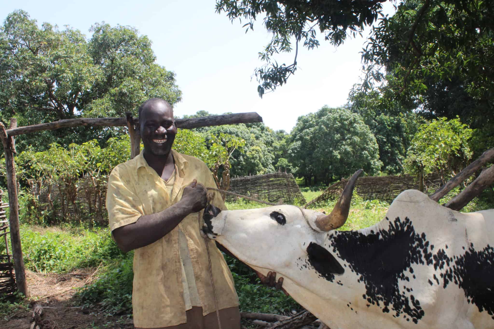 Revolutionizing Farming in Mali: How Forest Gardening is Transforming ...